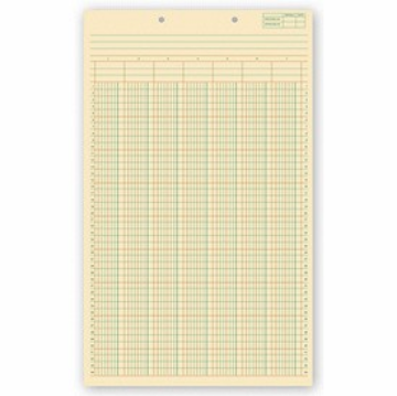 ACCOUNTANTS STATIONERS & PRINTERS. Columnar Pads