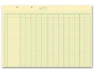 ACCOUNTANTS STATIONERS & PRINTERS. Columnar Pads